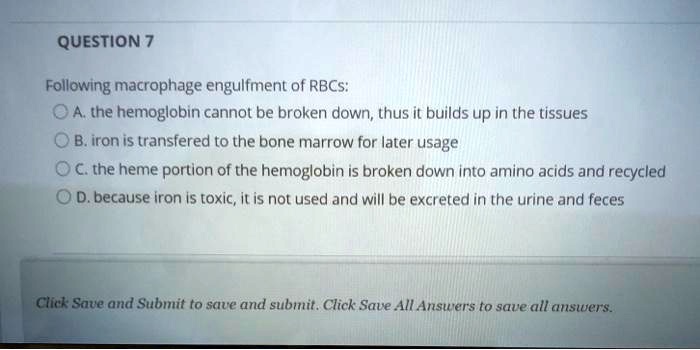 QUESTION 7 Following macrophage engulfment of RBCs: A. the hemoglobin ...