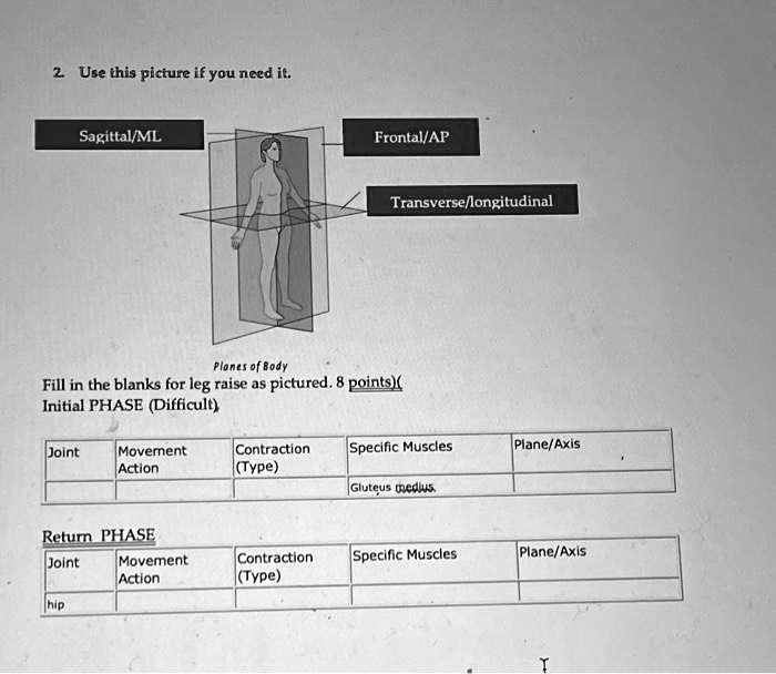 SOLVED: Sagittal/ML Frontal/AP Transverse/longitudinal Planes of Body ...