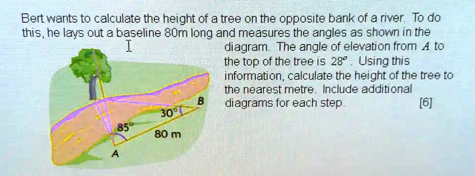 Bert wants to calculate the height of a tree on the opposite bank of a ...