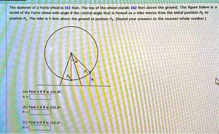 the diameter of a ferris wheel is 151 feet the top of the wheel stands ...