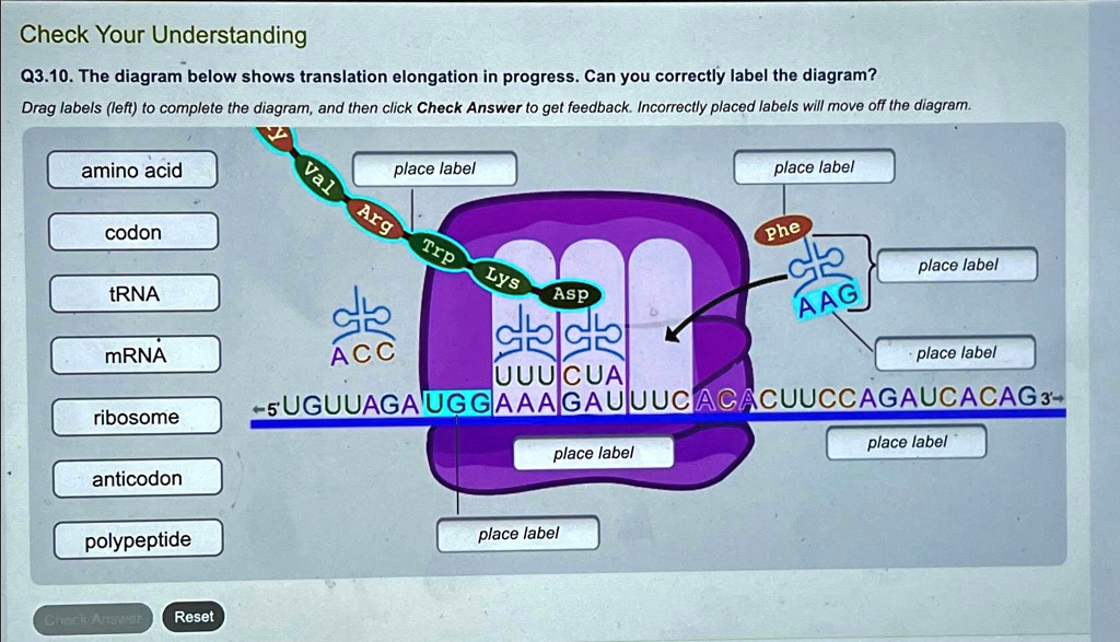SOLVED: Check Your Understanding Q3.10. The diagram below shows ... SOLVED: Check Your Understanding Q3.10. The diagram below shows ...