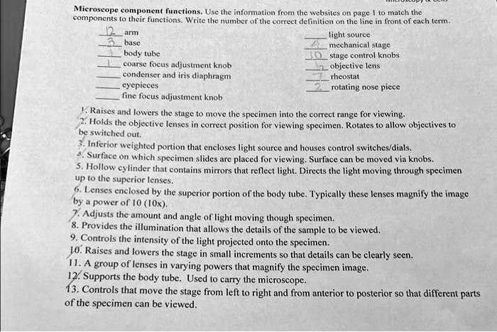 microscope component functions use the information from the websites on ...