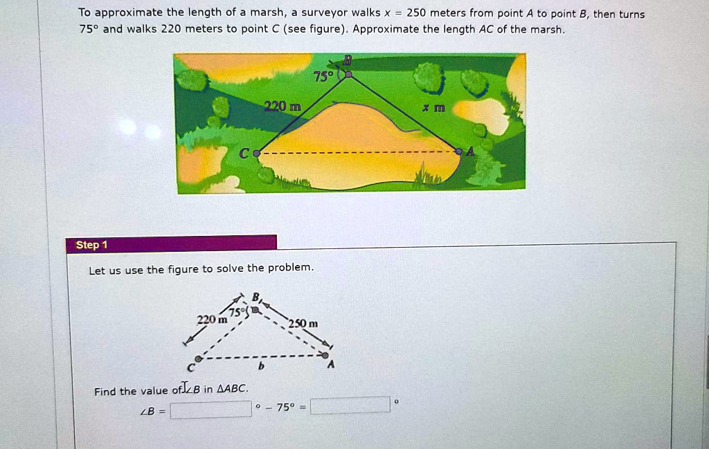 to approximate the length of a marsh surveyor walks x 250 meters from ...