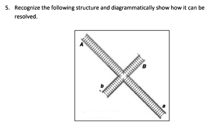 SOLVED: Recognize the following structure and diagrammatically show how ...
