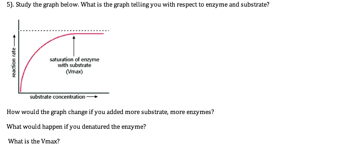 5 study the graph below what is the graph telling you with respect to ...