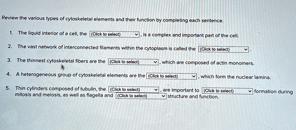 review the various types of cytoskeletal elements and their function by ...
