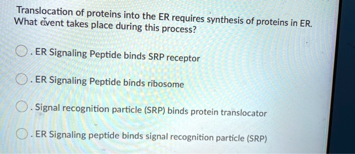 SOLVED: Translocation of proteins into the ER requires synthesis of ...