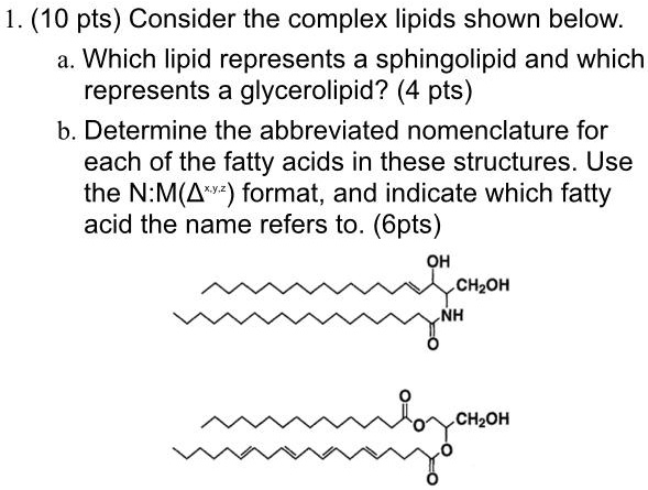 SOLVED: Consider the complex lipids shown below: Which lipid represents ...