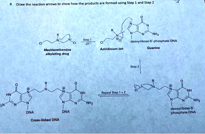 SOLVED: Draw the reaction arrows to show how the products formed using ...