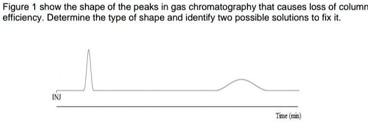 Solved Figure 1 Show The Shape Of The Peaks In Gas Chromatography That Causes Loss Of Column