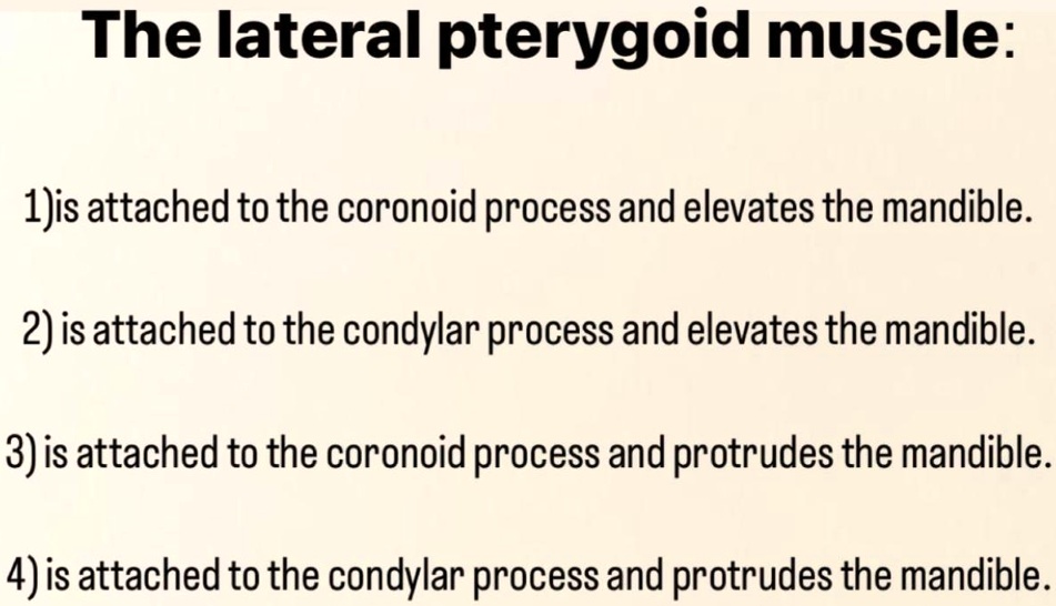 The lateral pterygoid muscle: 1)is attached to the coronoid process and ...