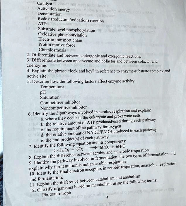 SOLVED: Texts: Catalyst iosr mb Activation energy Denaturation ...