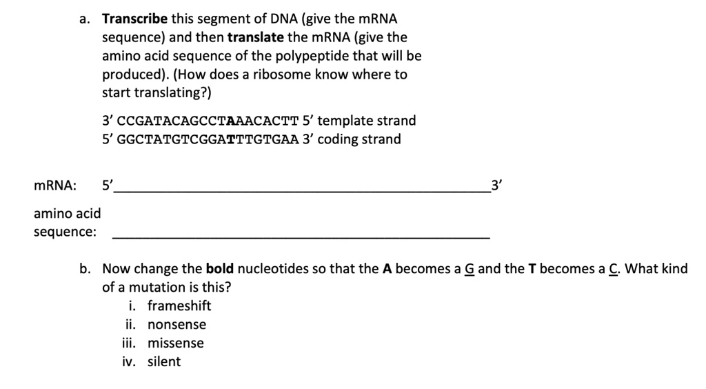 SOLVED: Transcribe this segment of DNA (give the mRNA sequence) and then translate the mRNA ...