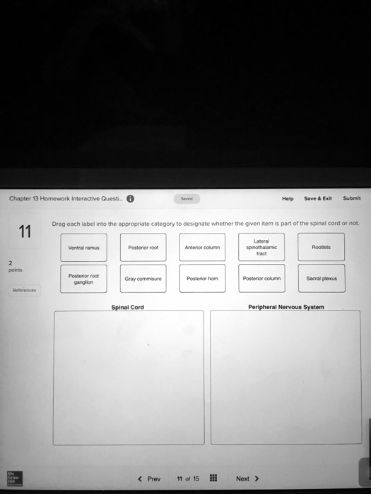 SOLVED: Saved Help Save Exit Submit 11 Drag each label into the ... SOLVED: Saved Help Save Exit Submit 11 Drag each label into the ...