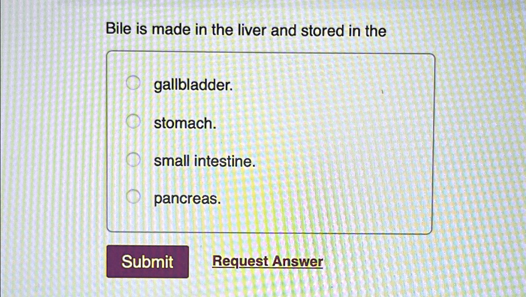 Bile is made in the liver and stored in the gallbladder. stomach. small ...