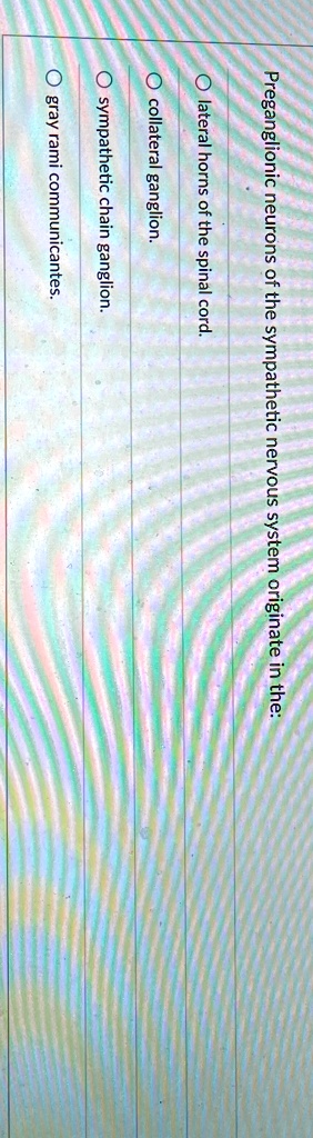 Preganglionic neurons of the sympathetic nervous system originate in ...