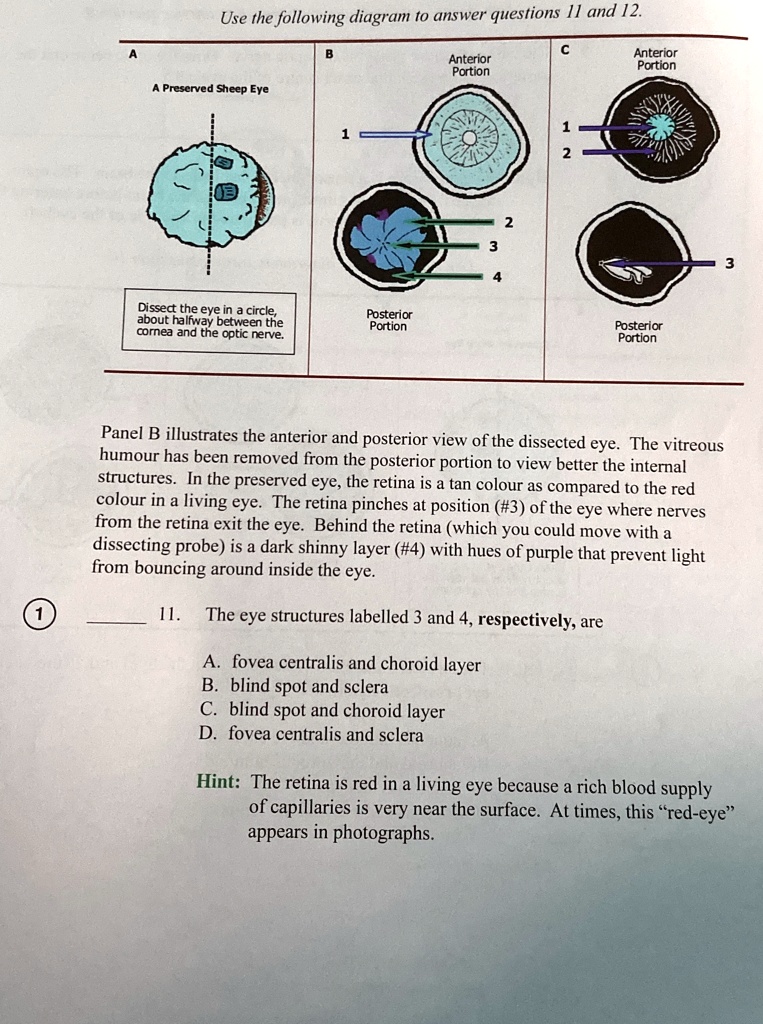 Use the following diagram to answer questions 11 and 12. Panel B ...