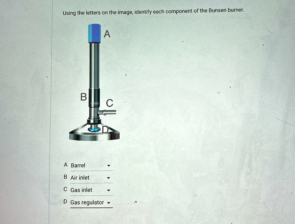 using the letters on the image identify each component of the bunsen burner a barrel b air inlet ...