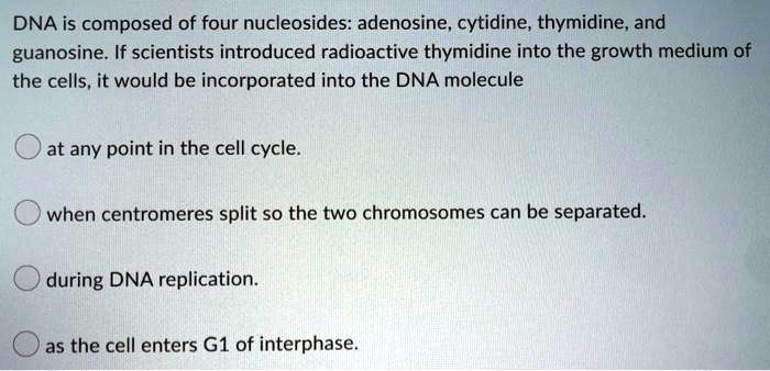 SOLVED: DNA is composed of four nucleosides:adenosine.cytidine ...