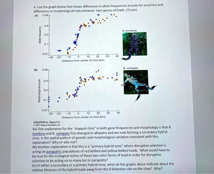 SOLVED:Use the graph below that sons difterences allele frequencies ...