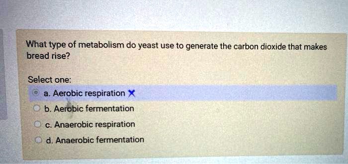 What type of metabolism do yeast use to generate the carbon dioxide ...