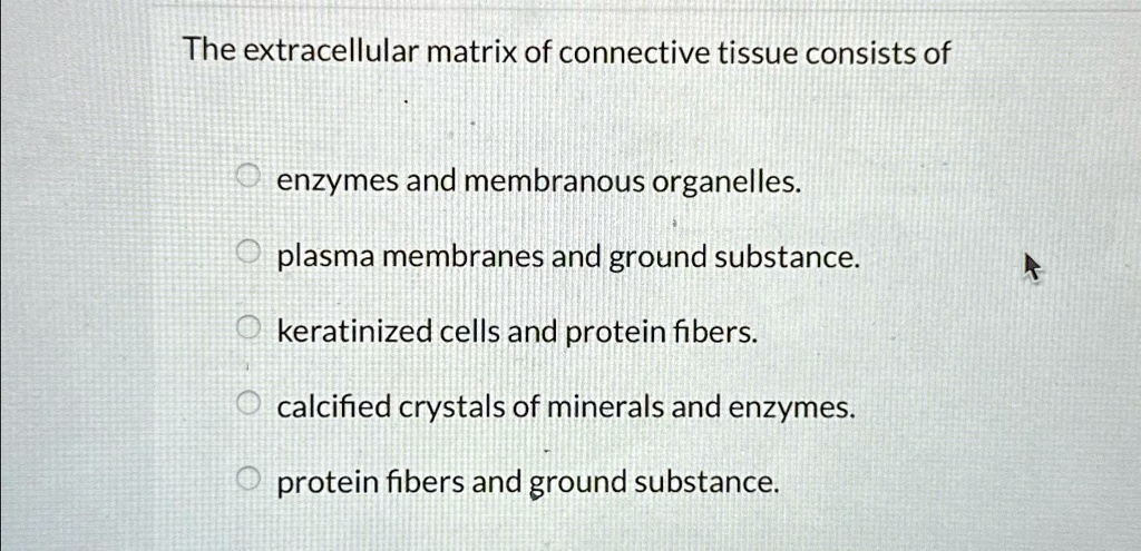the extracellular matrix of connective tissue consists of enzymes and membranous organelles ...