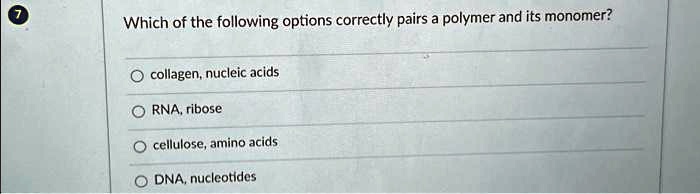 SOLVED: Which of the following options correctly pairs a polymer and its monomer? A. collagen ...