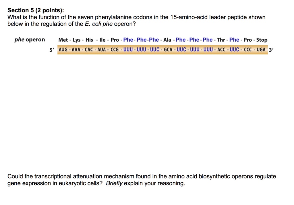 section 5 2 points what is the function of the seven phenylalanine ...