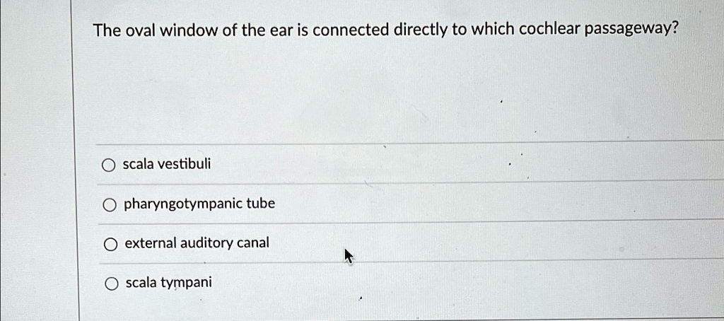 The oval window of the ear is connected directly to which cochlear ...