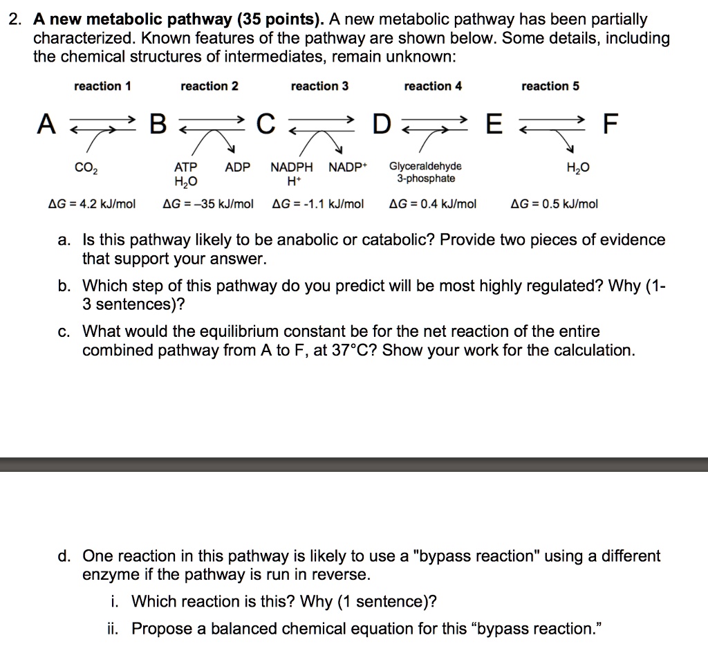SOLVED: 2 A new metabolic pathway (35 points): A new metabolic pathway ...