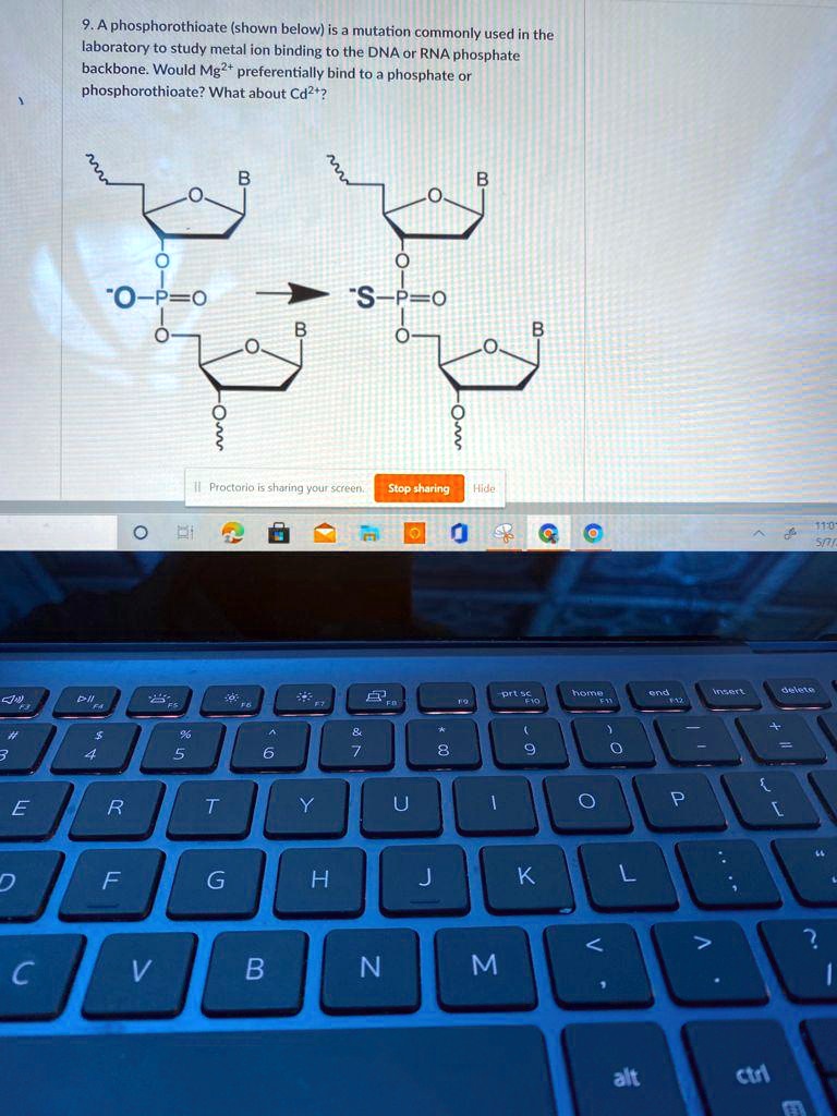 SOLVED: A phosphorothioate (shown below) is mutation commonly used in ...