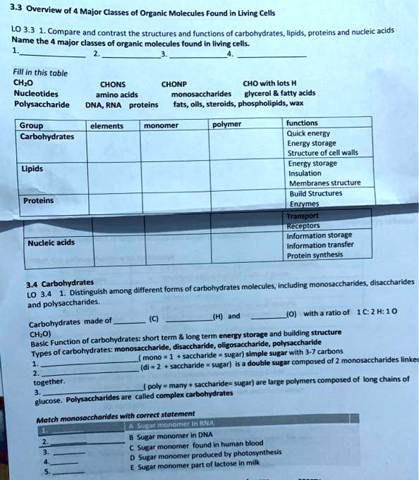 SOLVED: Overview of Major Classes of Organic Molecules Found in Living ...