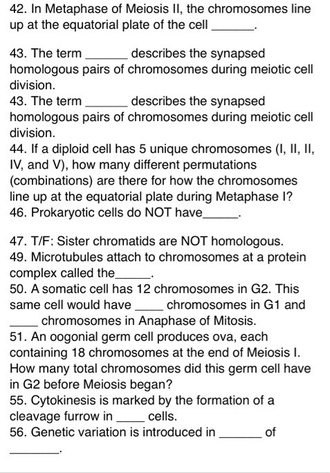 SOLVED: 42 In Metaphase of Meiosis Il, the chromosomes line up at the ...