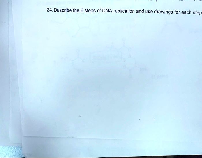 SOLVED: 24. Describe the 6 steps of DNA replication and use drawings ...