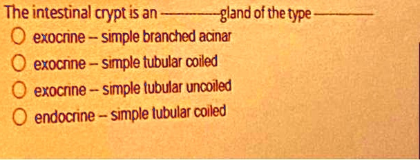 The intestinal crypt is an gland of the type exocrine - simple branched ...
