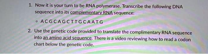 SOLVED: Now it is your turn to be RNA polymerase Transcribe the ...