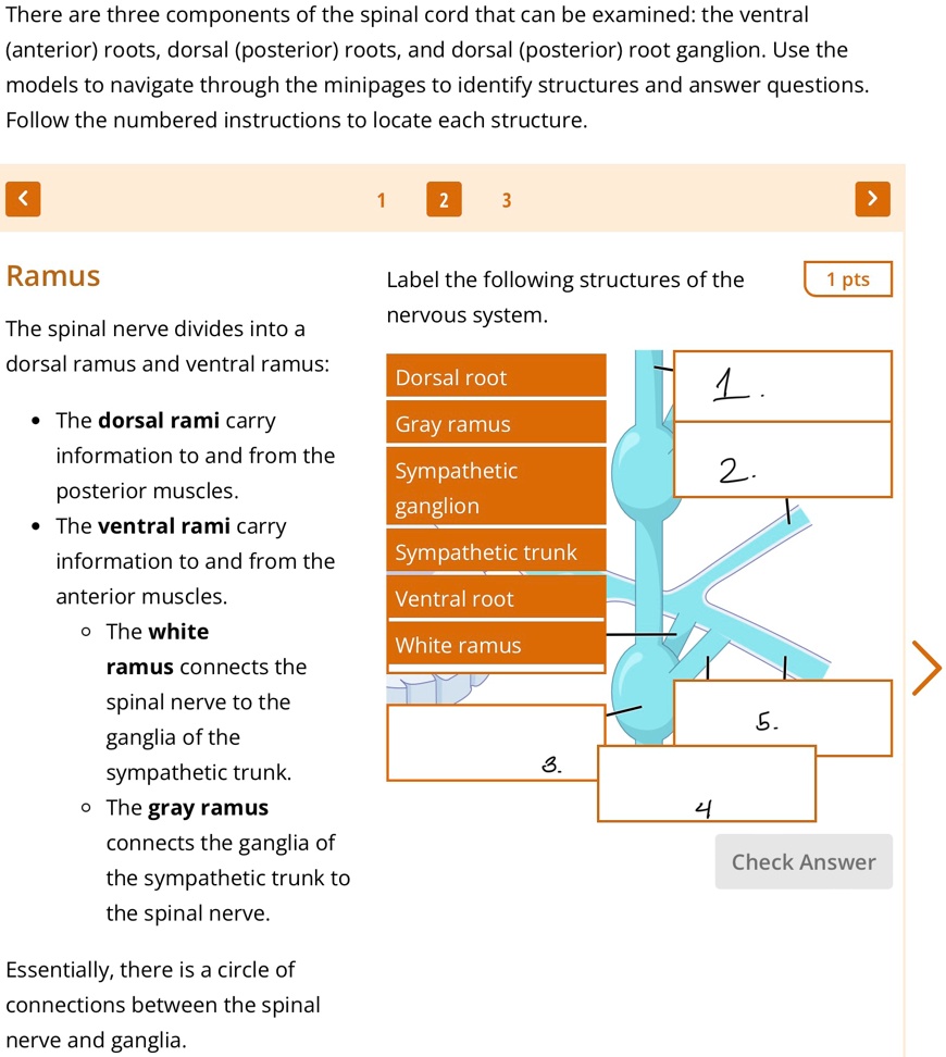 There are three components of the spinal cord that can be examined: the ...
