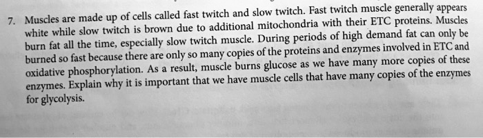 SOLVED: cells called fast twitch and slow twitch Fast twitch muscle ...