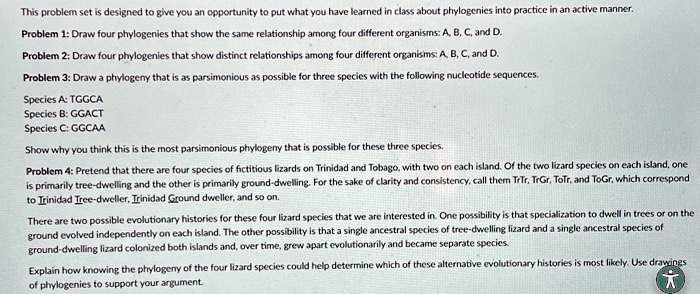 SOLVED: This problem set is designed to give you an opportunity to put ...