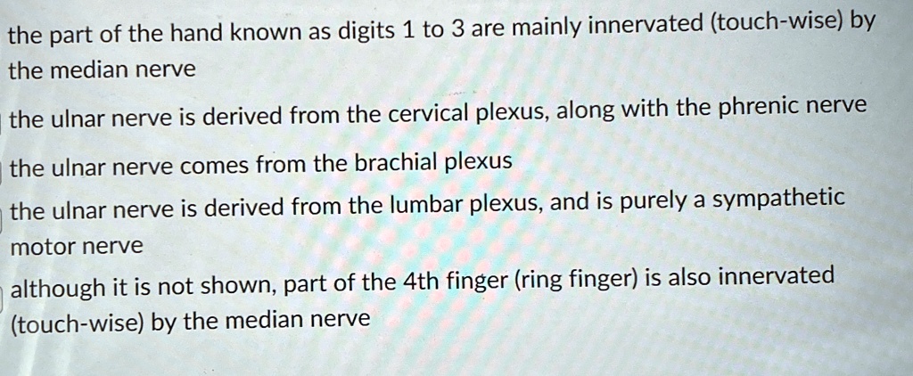 the part of the hand known as digits 1 to 3 are mainly innervated touch ...