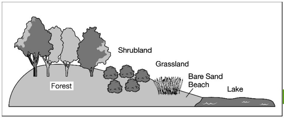 A identify the oldest stage of succession shown in the...