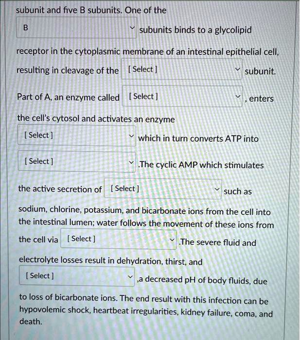 subunit and five B subunits. One of the B subunits binds to a ...