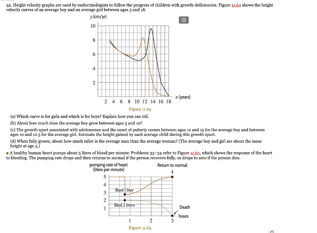 32 height velocity graphs are used by endocrinologists to follow the ...