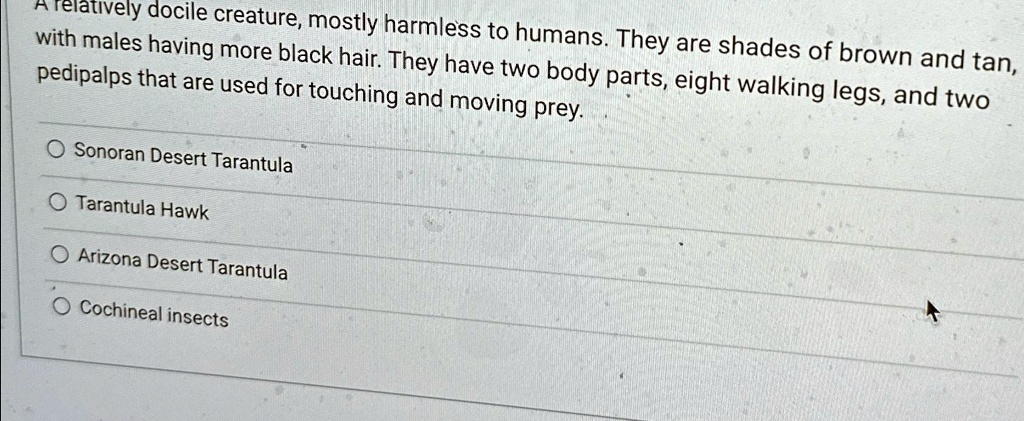 A relatively docile creature, mostly harmless to humans. They are shades of brown and tan, with ...