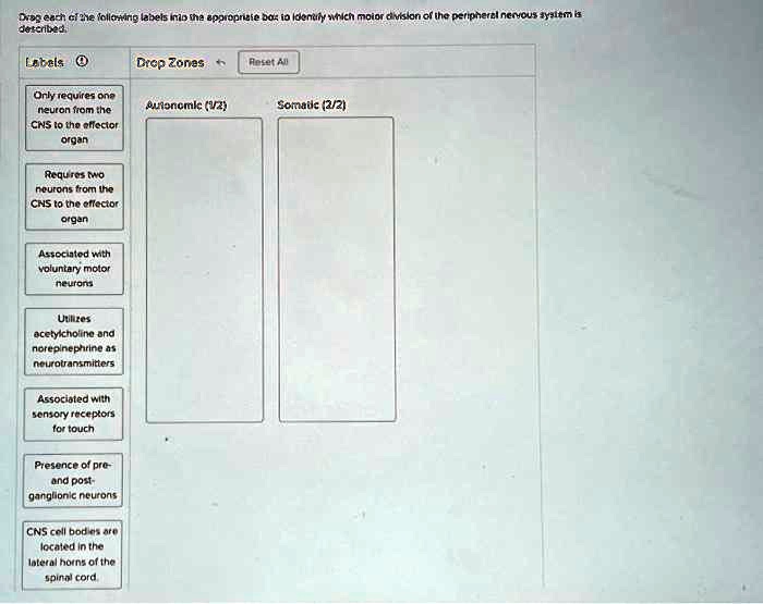 SOLVED: Texts: Drag each of the following labels into the appropriate ...