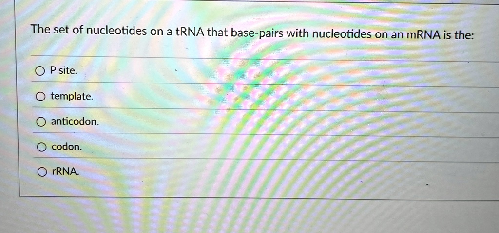 the set of nucleotides on a trna that base pairs with nucleotides on an ...