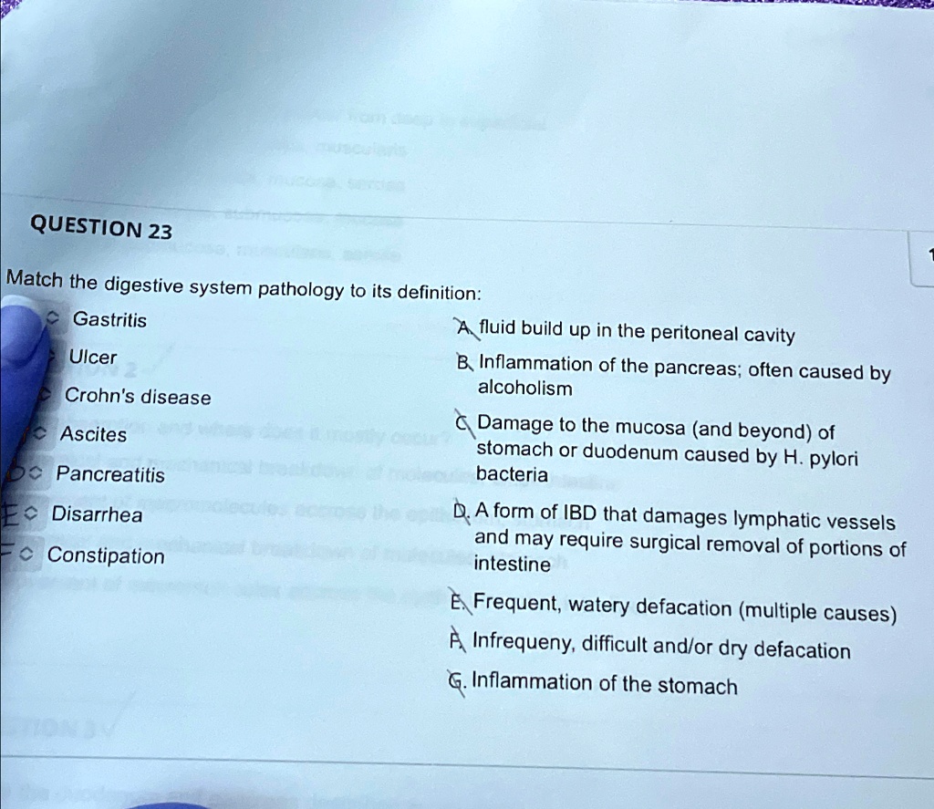 question 23 match the digestive system pathology to its definition ...