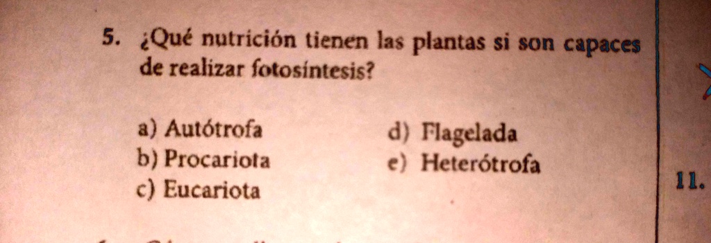 SOLVED: Ayudenme xfa xd :) :"v xxxfff 5. 4Qué nutrición tienen las ...