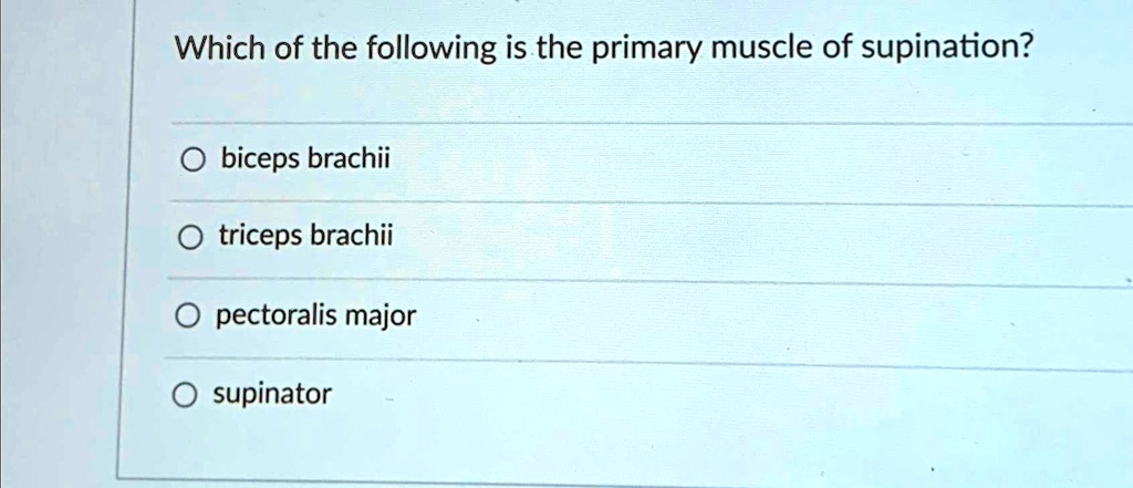 which of the following is the primary muscle of supination biceps ...