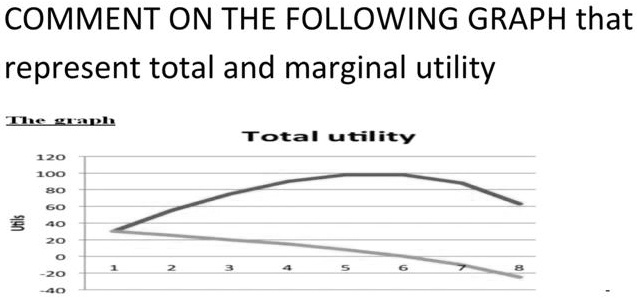COMMENT ON THE FOLLOWING GRAPH that represents total and marginal ...